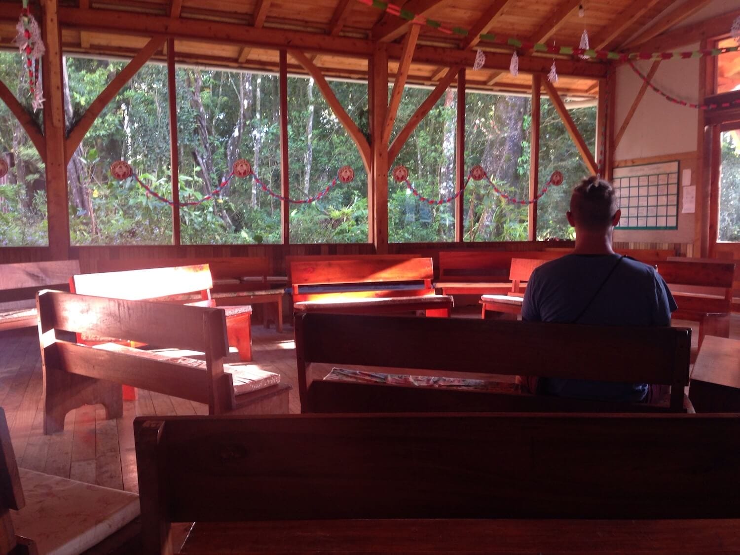 6 Memorable Things to Do in Monteverde, Costa Rica